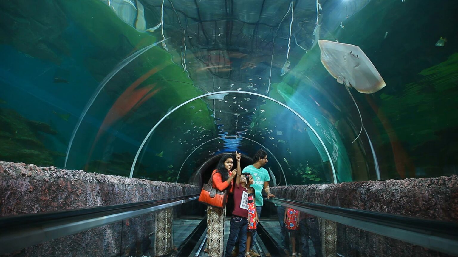 Underwater Tunnel – Water World Lanka Kelaniya