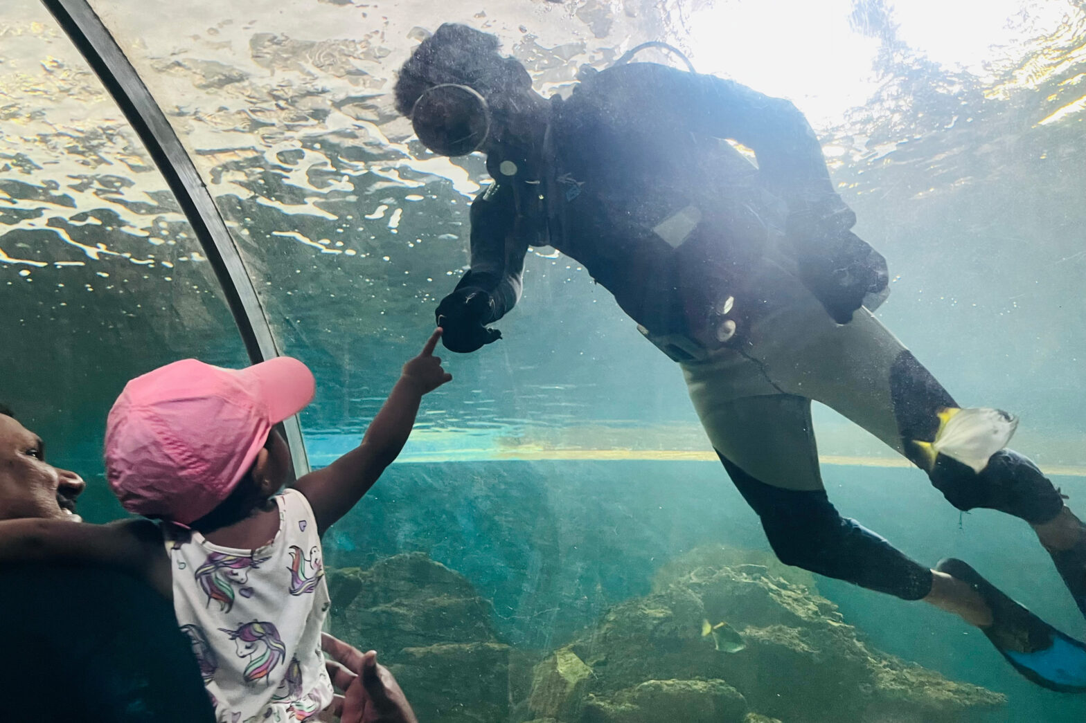 Water World Lanka Kelaniya – Only Public Aquarium with an Underwater ...