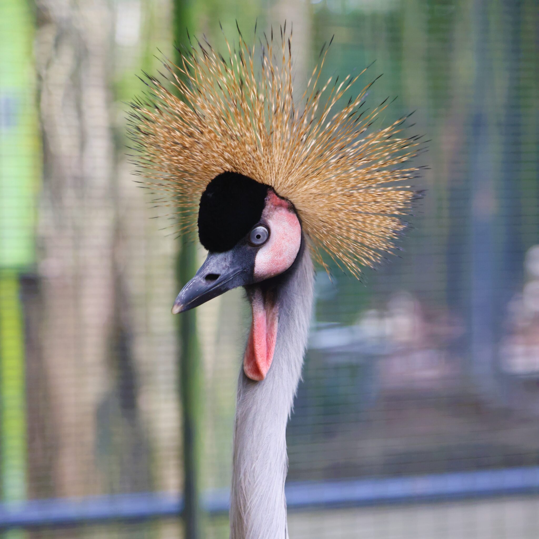 Bird Park – Water World Lanka Kelaniya